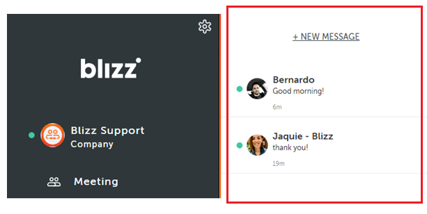 blizz Chat - TeamViewer Support