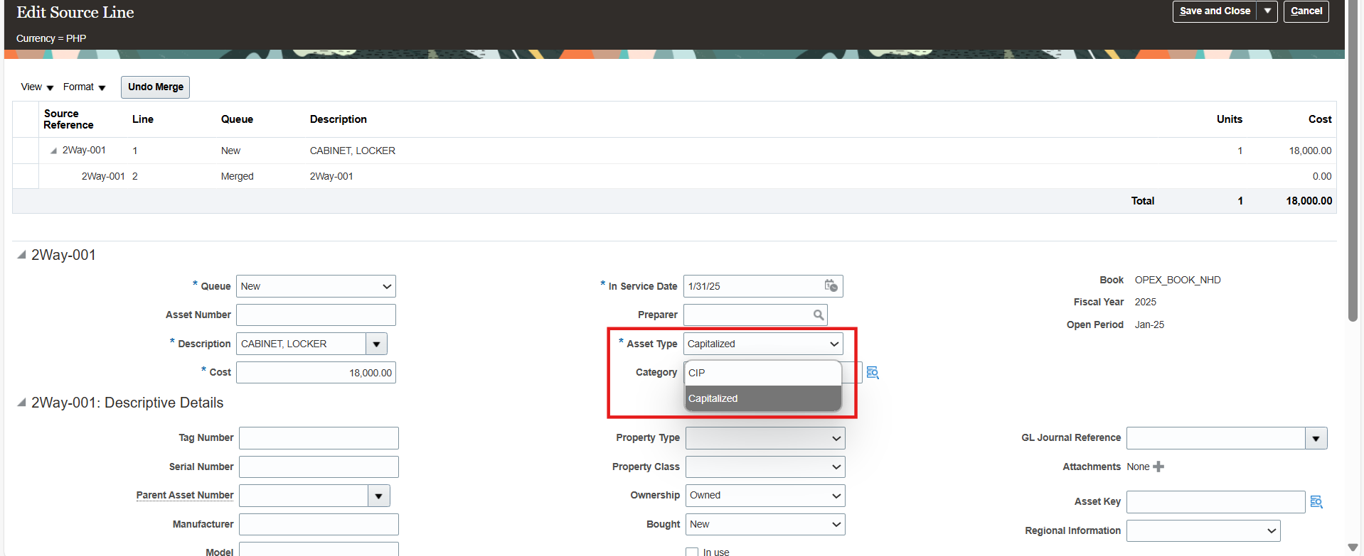 How to add assets coming from mass addition source for Expense asset ...