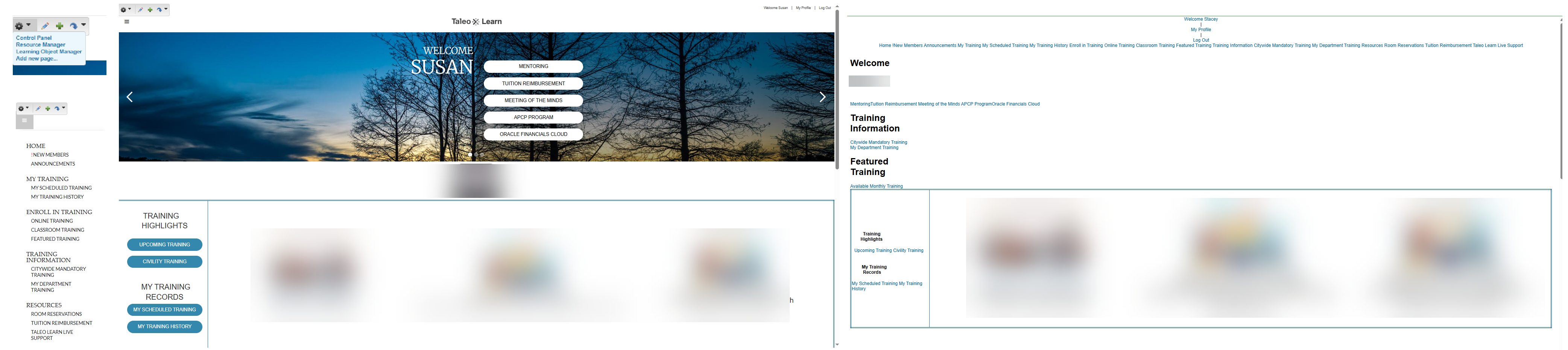Has anyone had any problems with Taleo Learn not displaying correctly ...