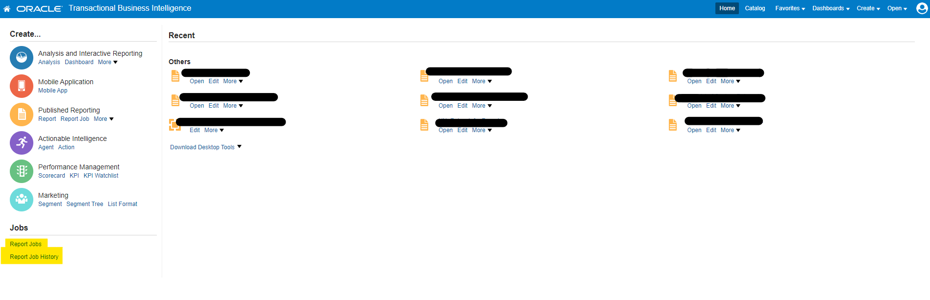 How Do We Control Grant Restrict Access To Otbi Jobs Report Job History — Cloud Customer Connect