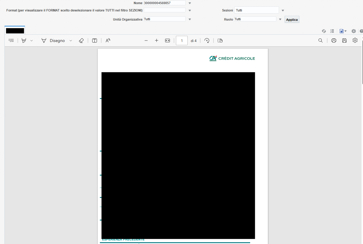 Report image only visible in pdf not in word — Cloud Customer Connect