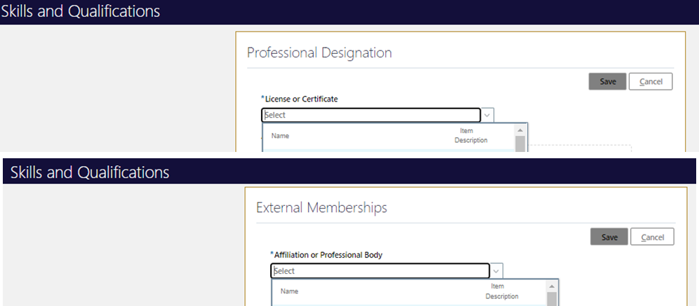 Skills and Qualifications: Professional Designation + External ...
