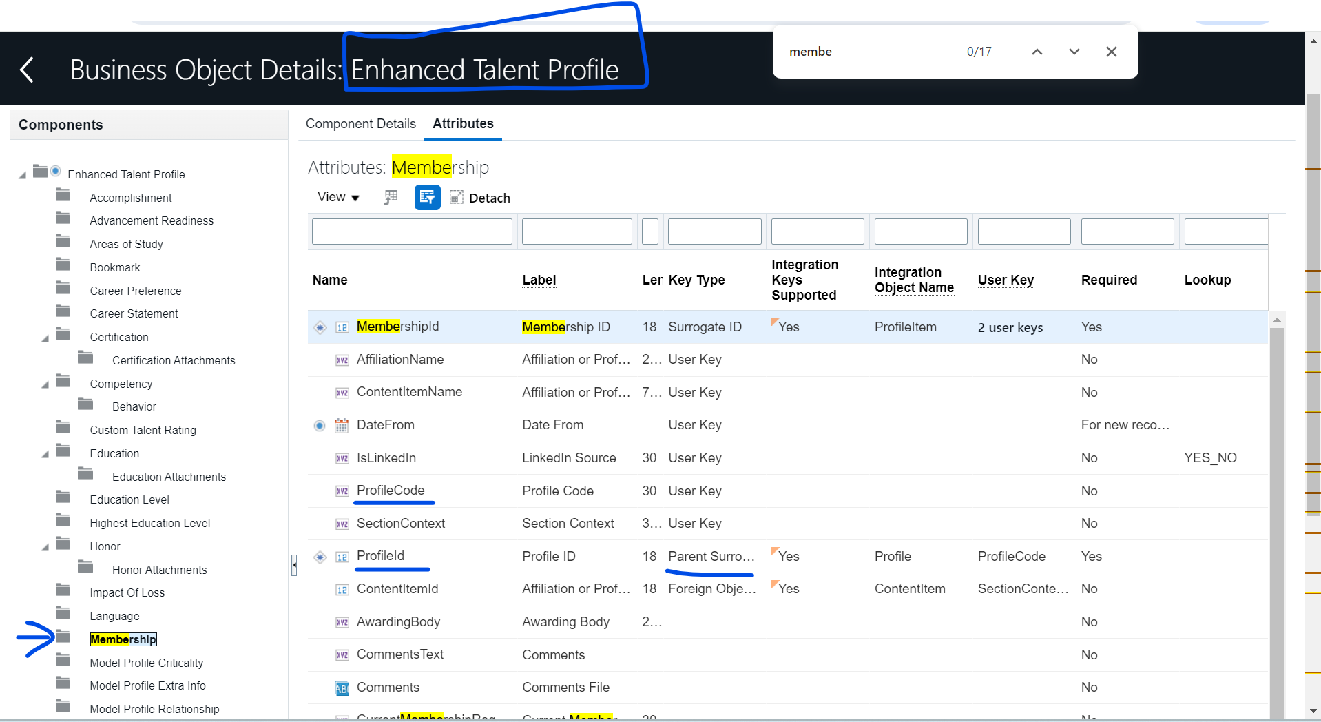 Need To Update Or Correct The Talent Profile Data For Employees Via Hdl Or Hsdl — Cloud Customer