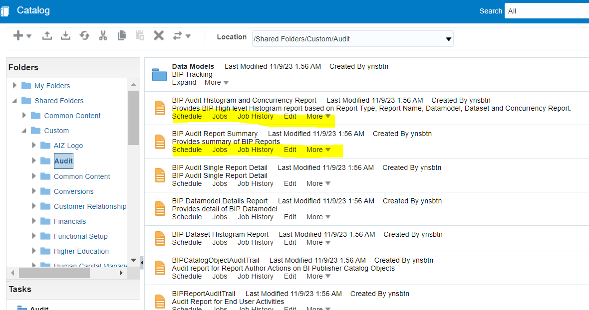 Oracle Fusion Bi Audit Reports Not Showing Open Report Option — Cloud Customer Connect