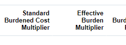 Project Budget - Standard Burdened Cost Multiplier vs Effective Burden ...