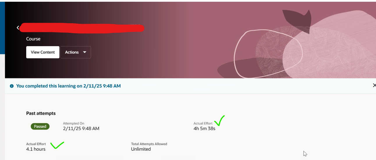 Actual efforts showing two times in ESS page — Cloud Customer Connect