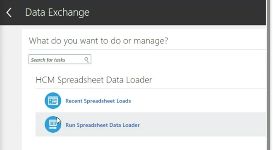 What role to be granted in order to access HCM Data Loader - Import and Load Data — Cloud ...