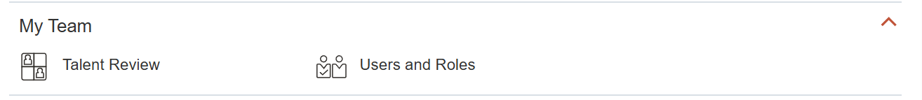 Which Roles Privileges Allow To Create Person User Name In My Team Users And Roles — Cloud