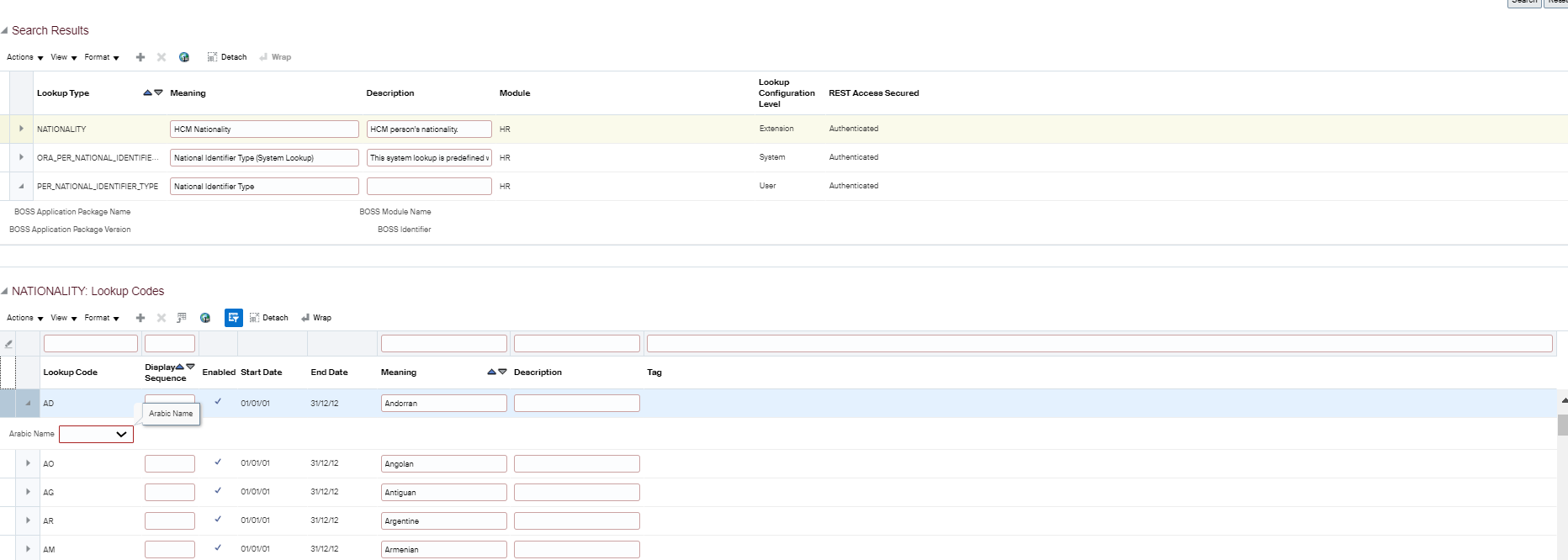 Dff Lookup Is Appearing For All The Lookup Types — Cloud Customer Connect