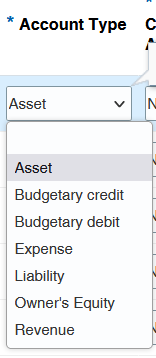 Account type Budgetary DR & CR — Cloud Customer Connect