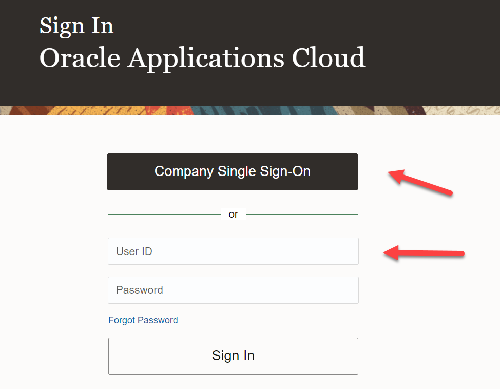 Custom Single Sign On page — Cloud Customer Connect