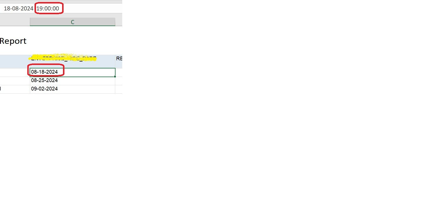 Bip Report Rtf Template Excel Output Type Date Formatting Issue — Cloud Customer Connect
