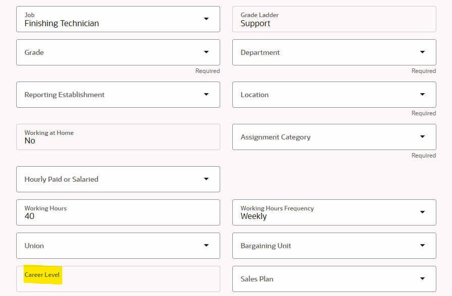 Default Assignment DFF in Hire an Employee — Cloud Customer Connect