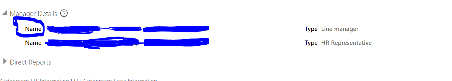 Where Have The Values For Name In Manager Details Person Management
