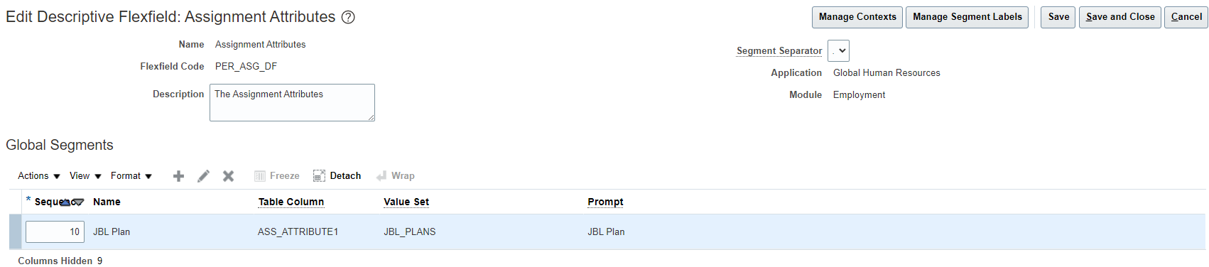 Redwood: Assignment DFF on Employment Info — Cloud Customer Connect