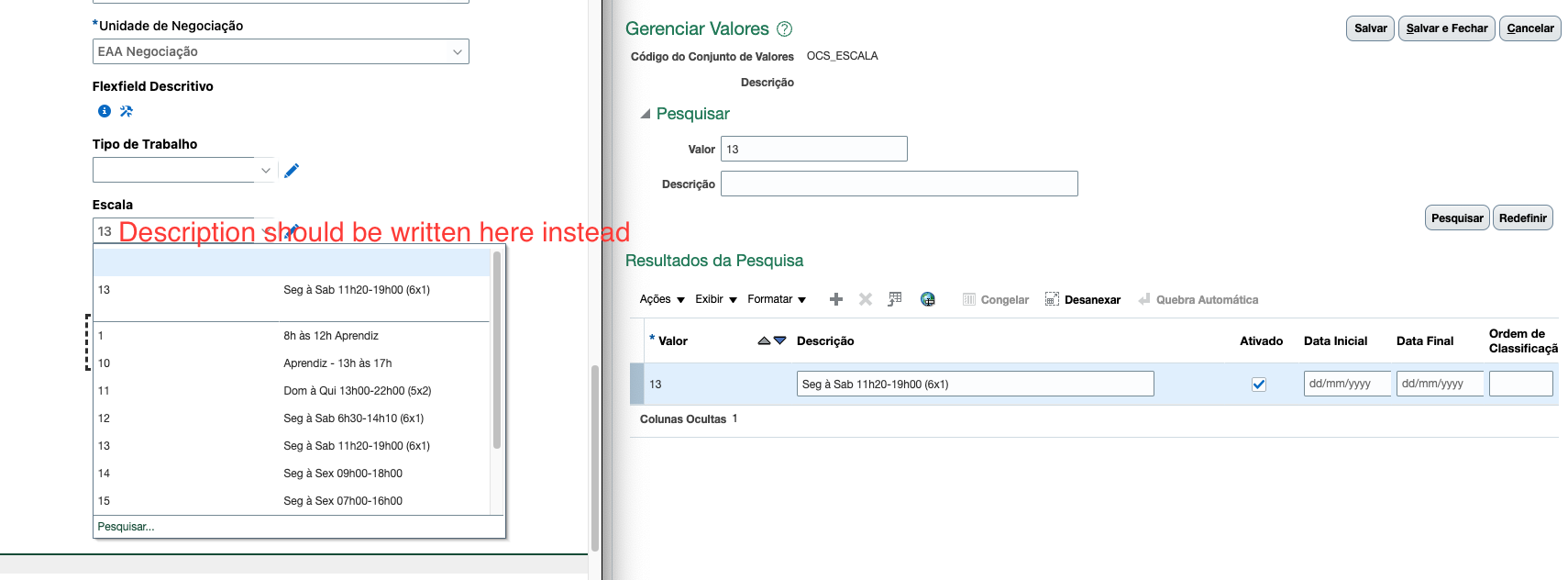 Descriptive Flexfield shows description instead of values — Cloud Customer Connect