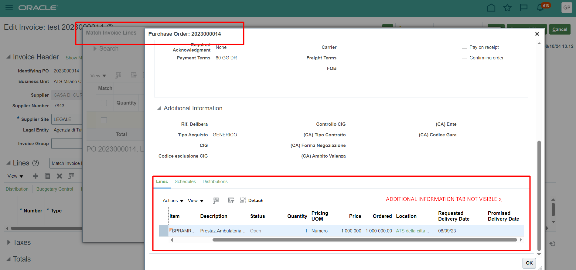 How to see line additional information in PO summary page when match ...