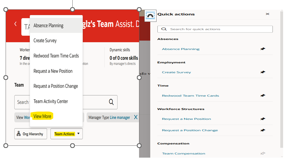 Hiding Quick Actions In Redwood Team Activity Center — Cloud Customer Connect