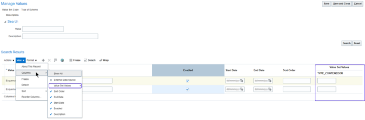 How to add column to value set values? — Cloud Customer Connect