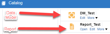 SQL Query for Data Model objects from OTBI — Cloud Customer Connect