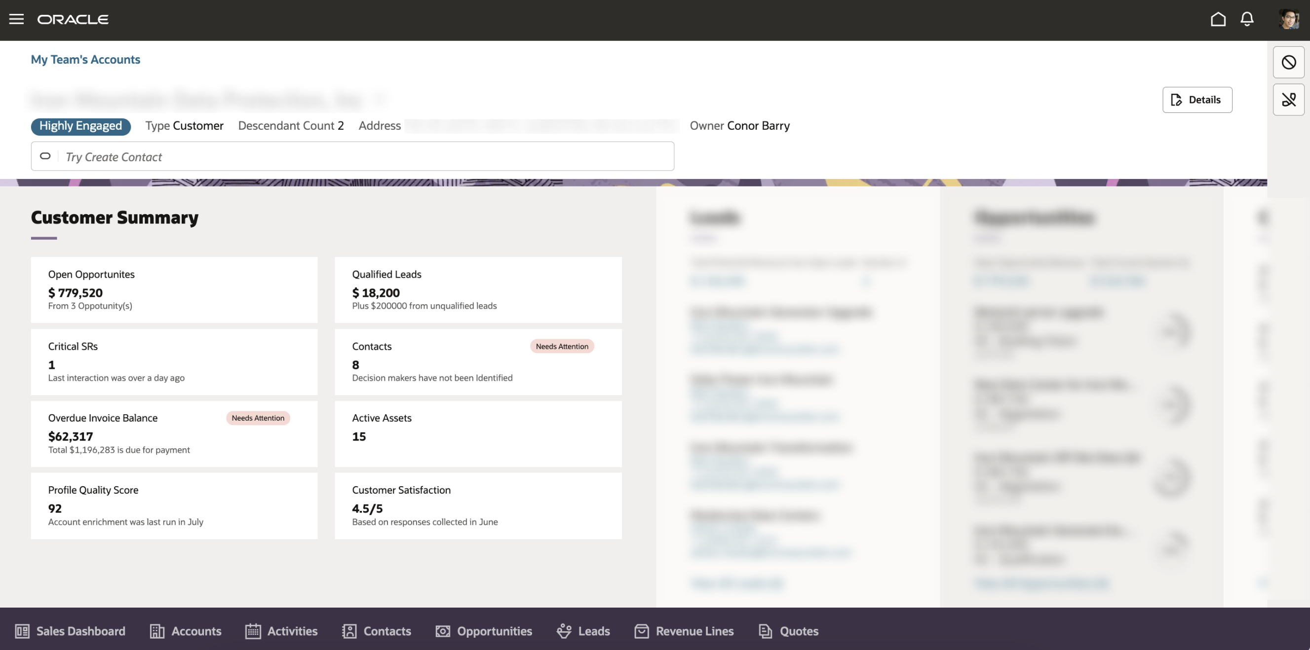 Customer Summary Panel Configuration On Redwood Sales Accounts — Cloud Customer Connect