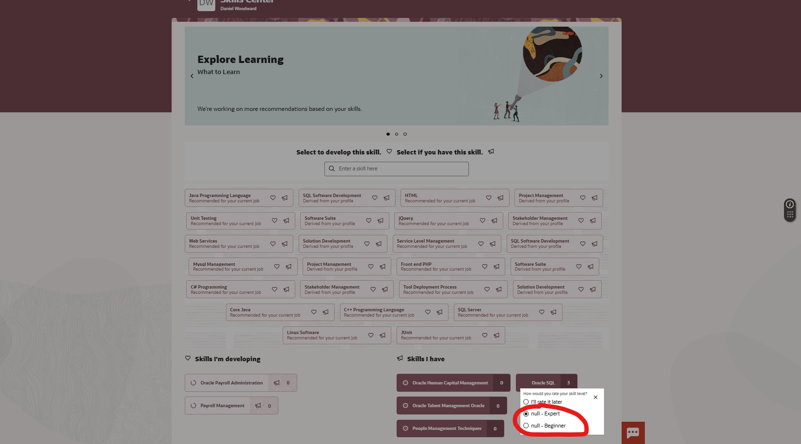 null value showing against skill rating — Cloud Customer Connect