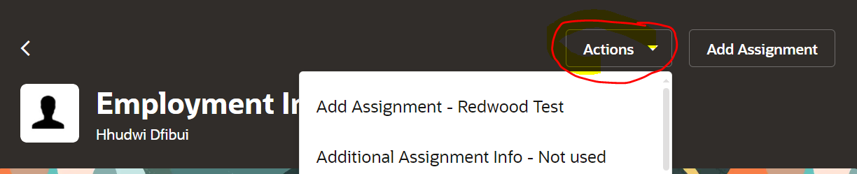 Employment Info Redwood Page Doesnt Have Options To Hide Actions — Cloud Customer Connect