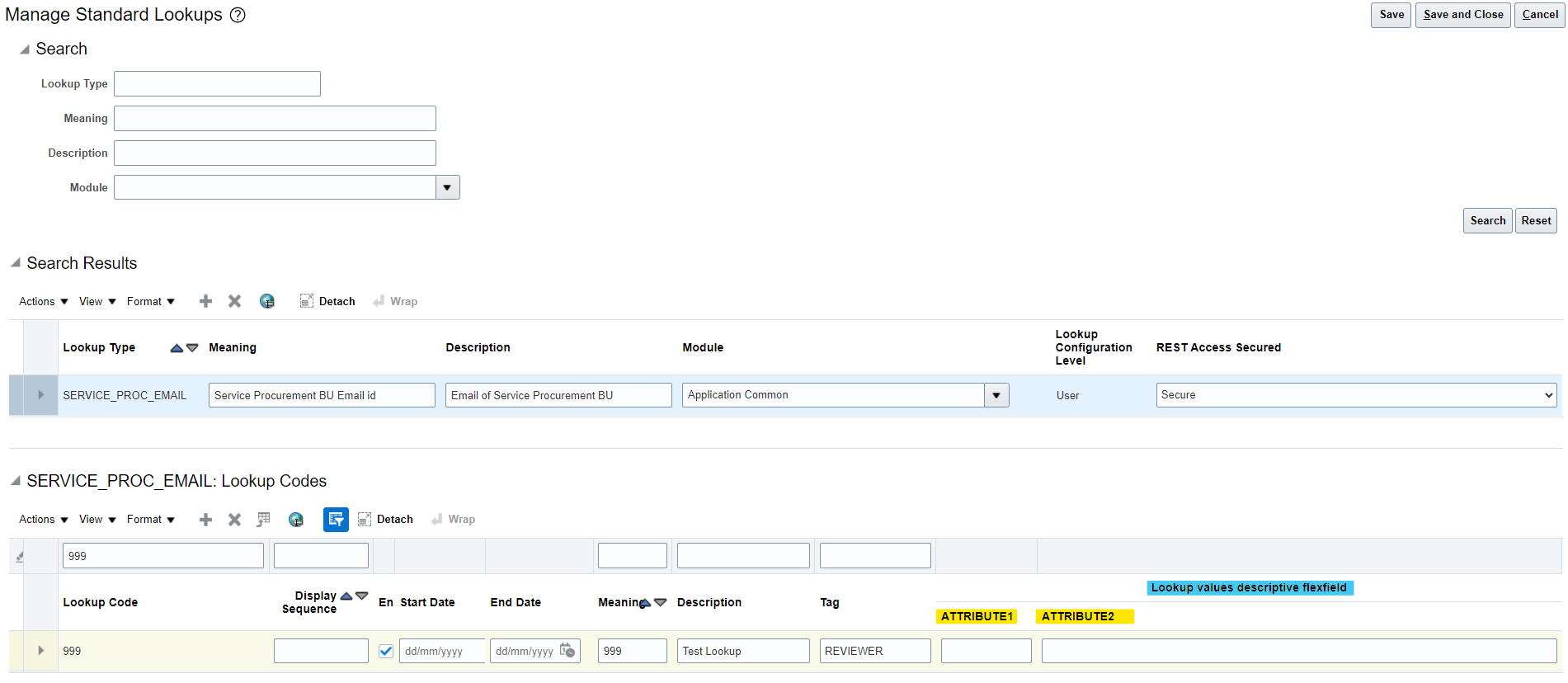 How to Import Standard Lookup Codes with DFF — Cloud Customer Connect