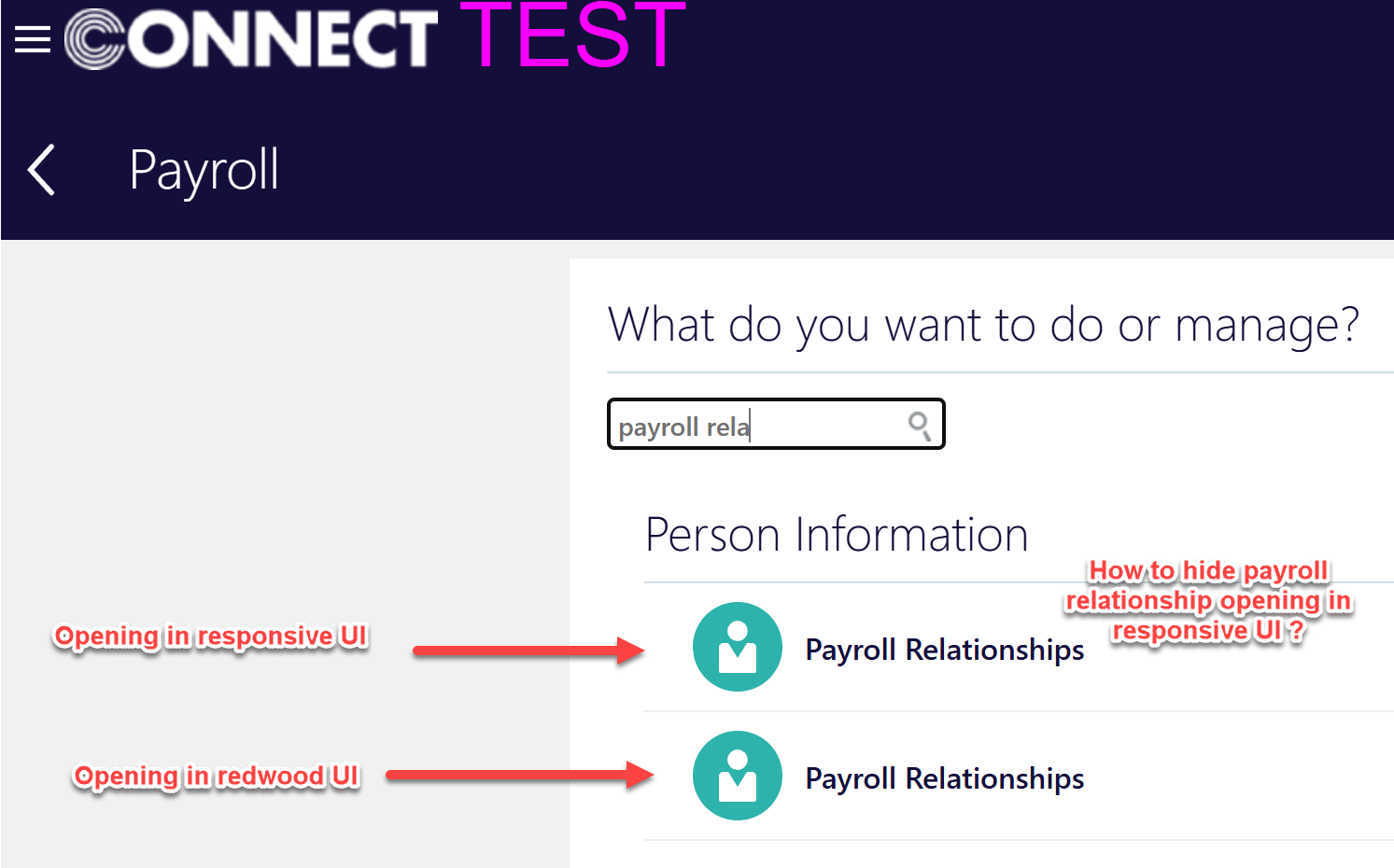 How To Hide Payroll Relationship In Responsive Ui For Payroll And Hr Module — Cloud Customer