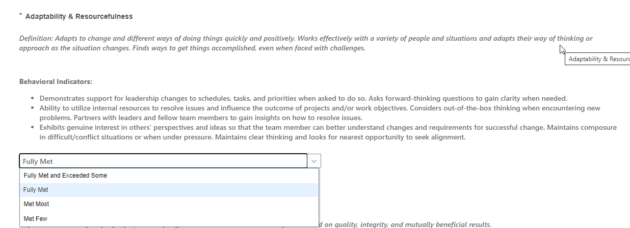How to show the rating model description used in Questionnaire inside ...