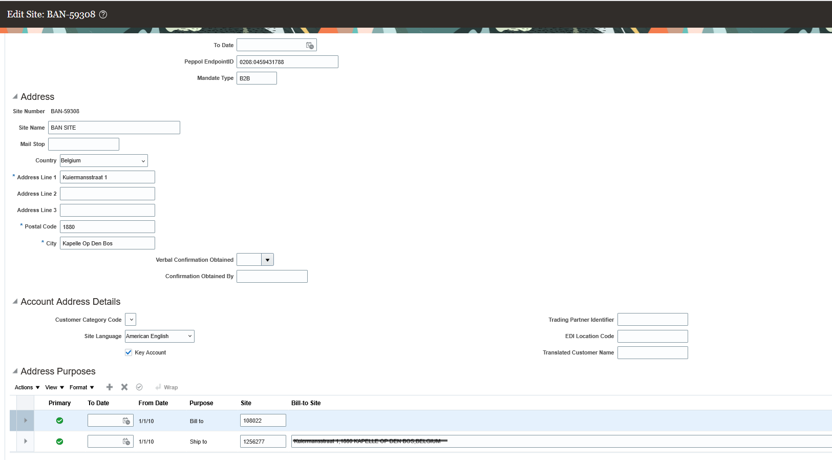 Why my Ship to Site is blank despite having ship to for the customer ...