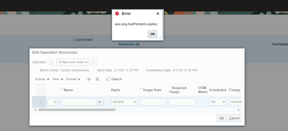 java.lang.NullPointerException when adding resource to work order — Cloud Customer Connect