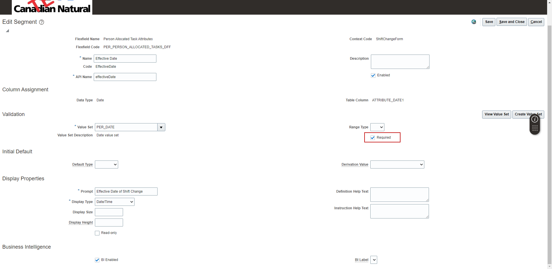 Required segment (field) on checklist DFF — Cloud Customer Connect