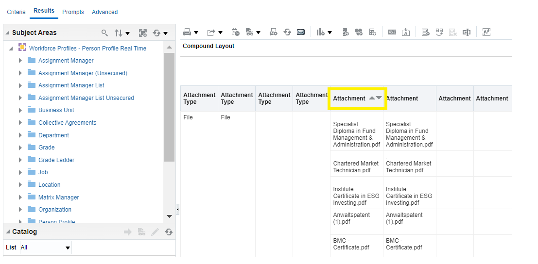 Attachments - Deeplink in OTBI — Cloud Customer Connect
