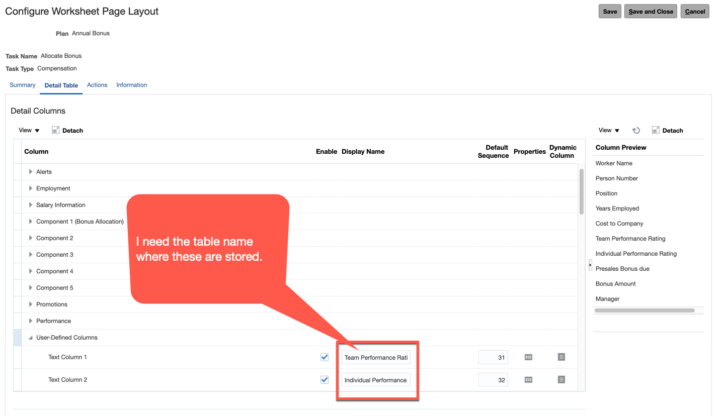 How can I retrieve the custom column display names for inclusion in a BIP report? — Cloud ...