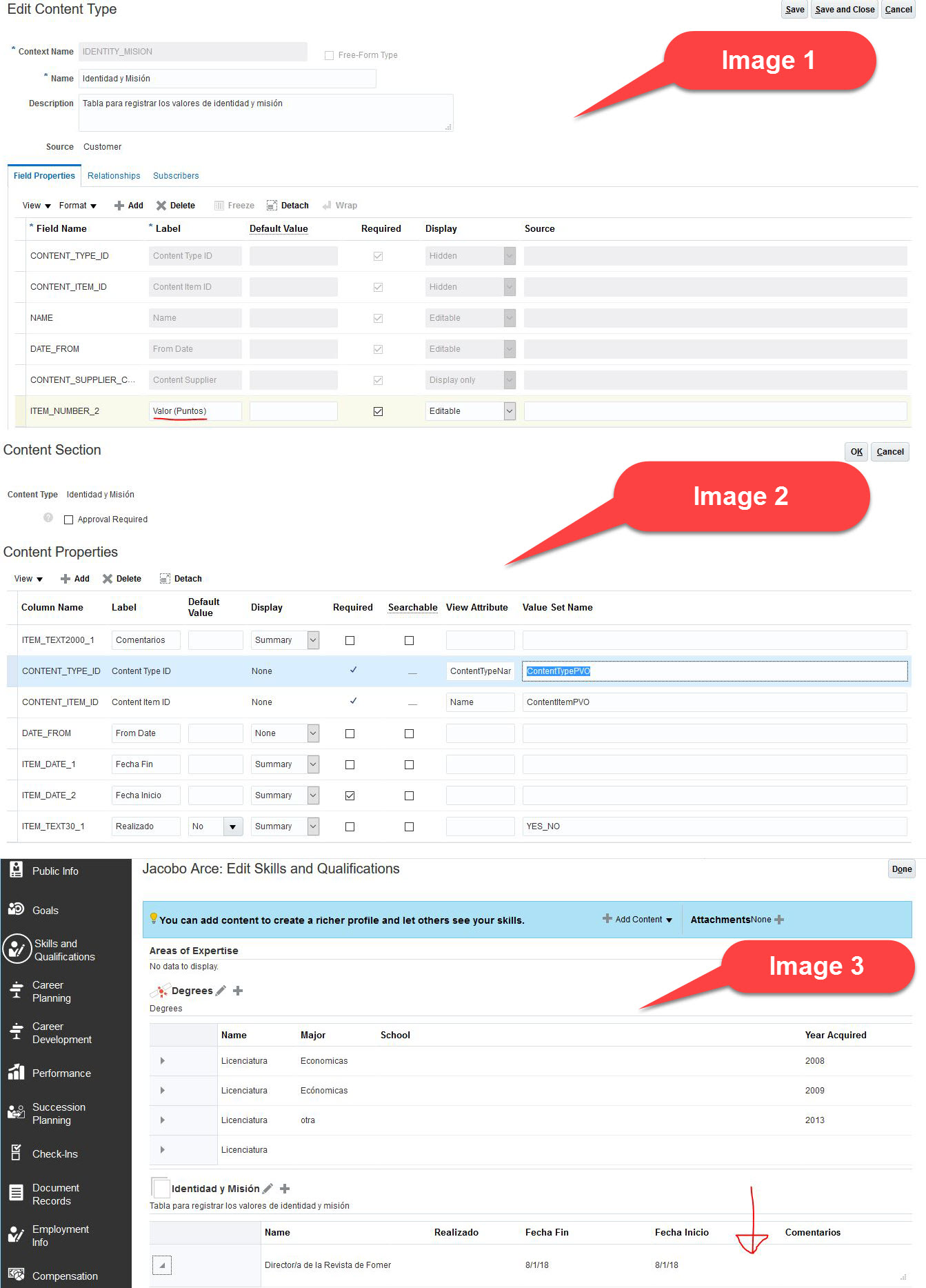 How to add a custom numeric field from Content Type to Skills and ...