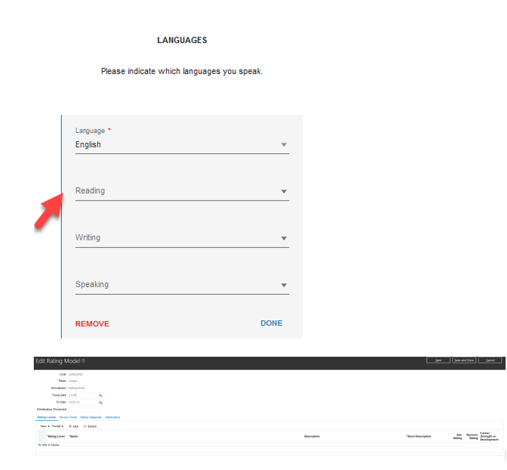 List of values for the Language options on the candidate application ...