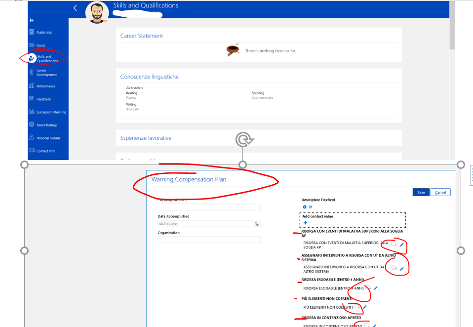 Database Items For Person Profile Flexfields Accomplishment Content Type — Cloud Customer Connect