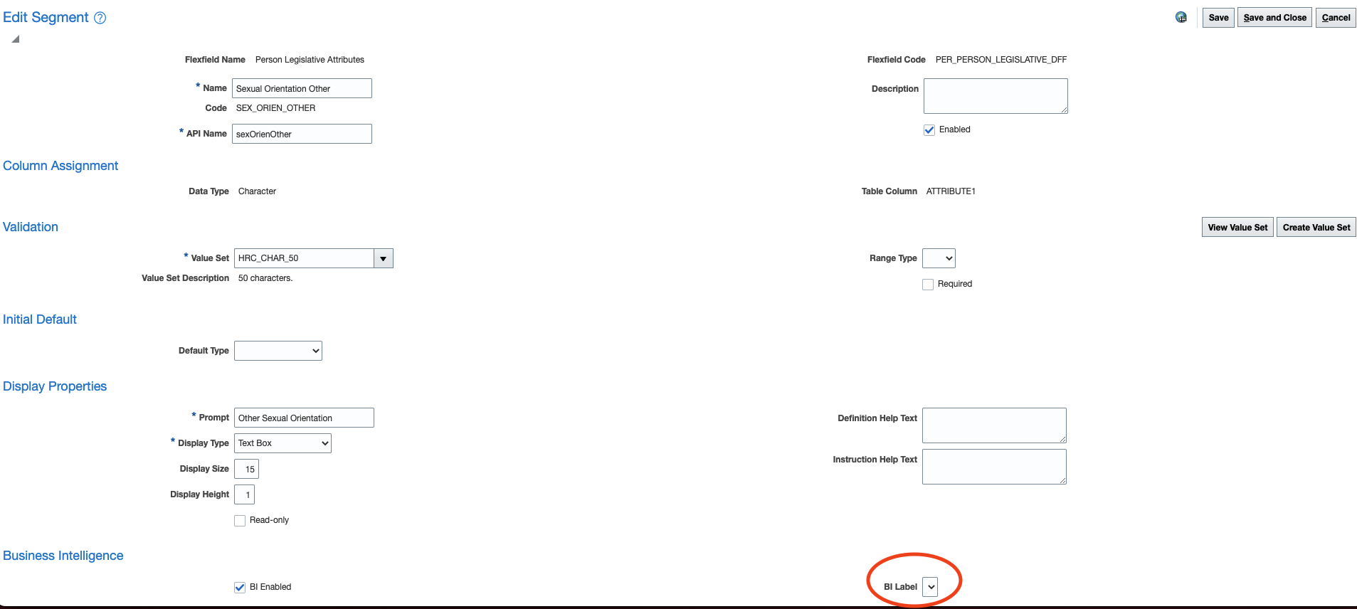 How To Populate Bi Label In Dff Configuration — Cloud Customer Connect