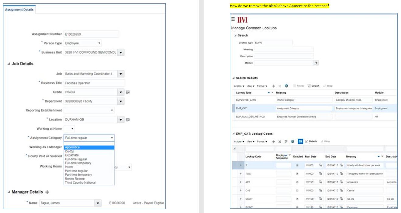 Manage Common Lookups - EMP_CAT: Lookup Codes — Cloud Customer Connect