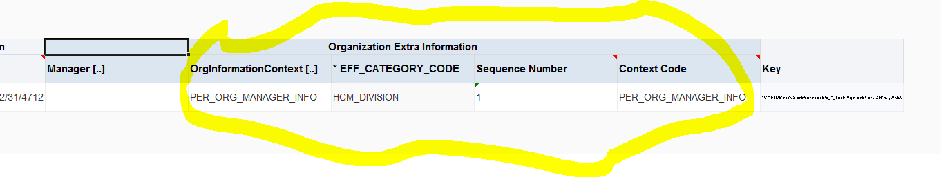 Organization Hsdl Template Organization Extra Information Details — Cloud Customer Connect