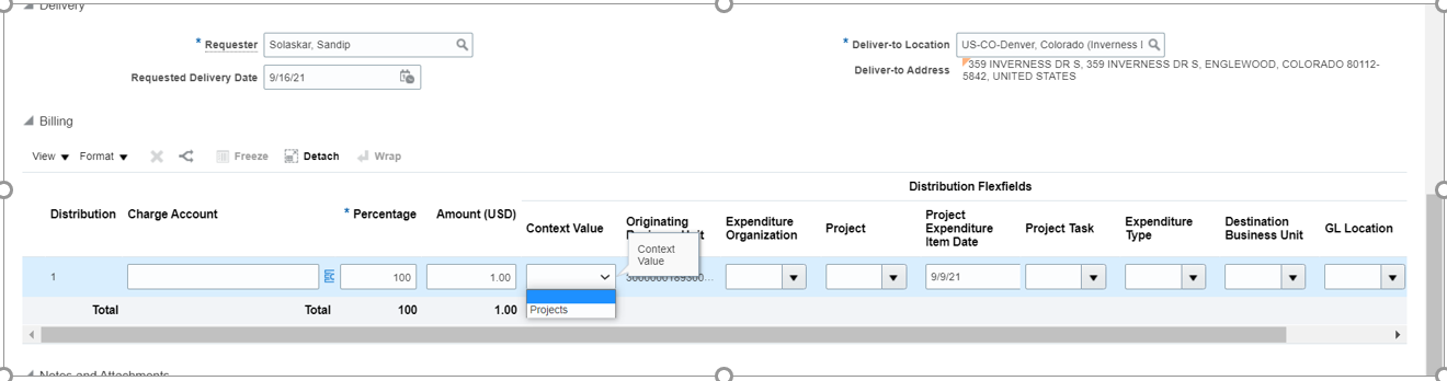 How to make a DFF optional through modifying the sandbox? — Cloud Customer Connect