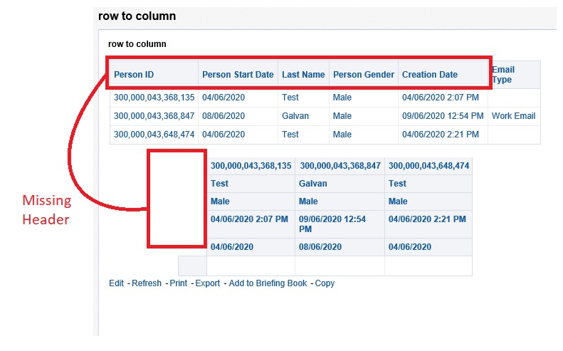 Transpose Rows To Columns In OTBI Customer Connect