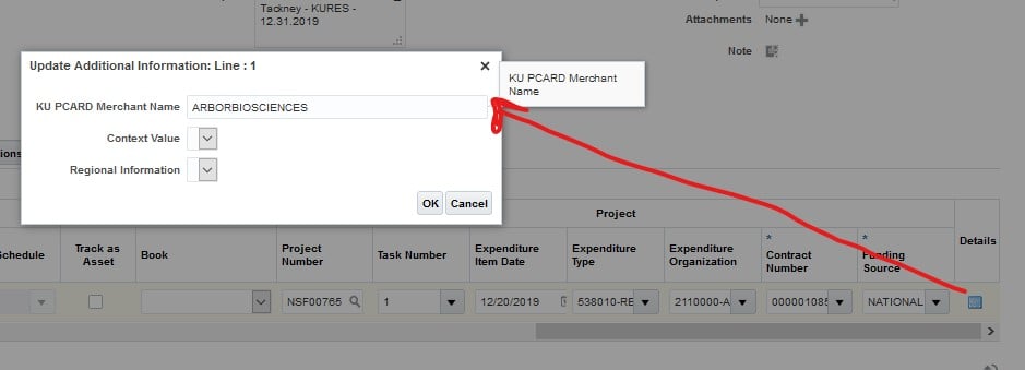 How Do We Add A Line Level Dff To The Payables Invoice Adfdi — Cloud