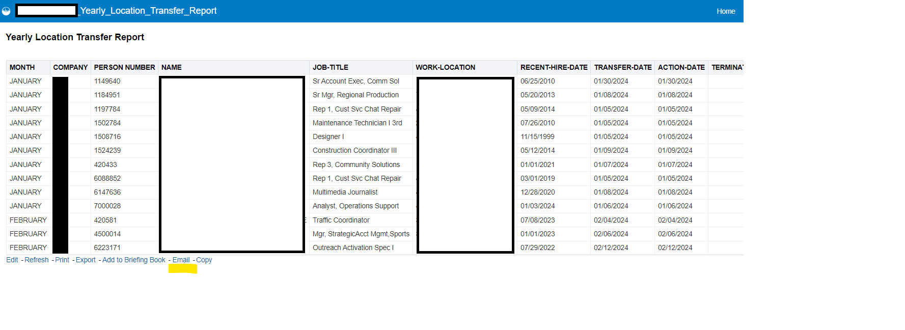 Disable Or Hide Email Option On The Results Page Of An Otbi Report — Oracle Analytics 