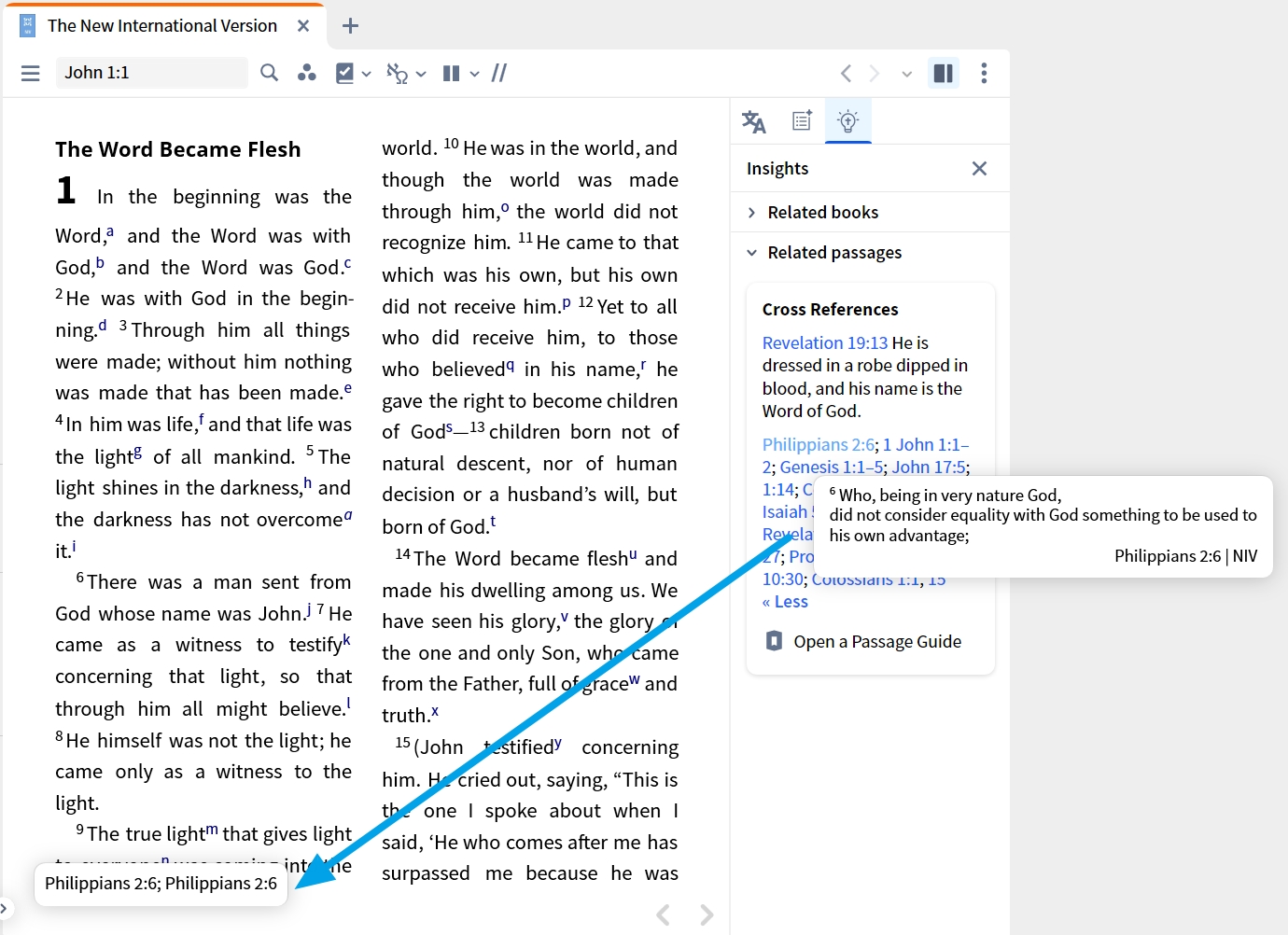 Is there an unexpected verse popup when using the Insights Sidebar ...