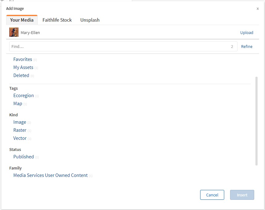 Lost the view options in the Add Image window after uploading an image ...