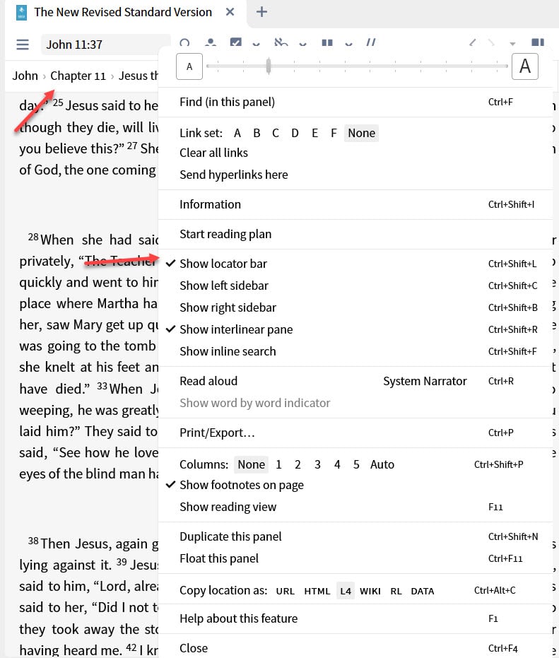 L/V 10 Tip of the Day #93 Toggling the locator bar on/off (& bug ...