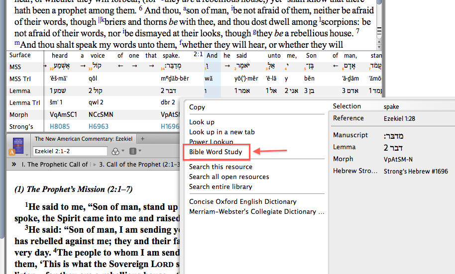 Crash using "bible word study" in interlinear — Logos Community
