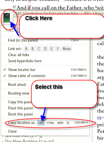 Logos 4: Link directly to a location in a resource? - Logos and Verbum ...